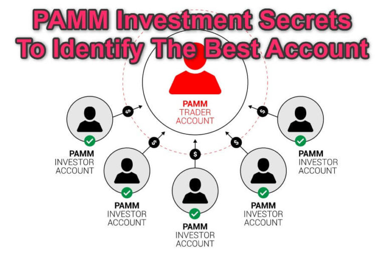 PAMM Investment Ultimate Guide – 7 Secrets To Find The Best Account ...